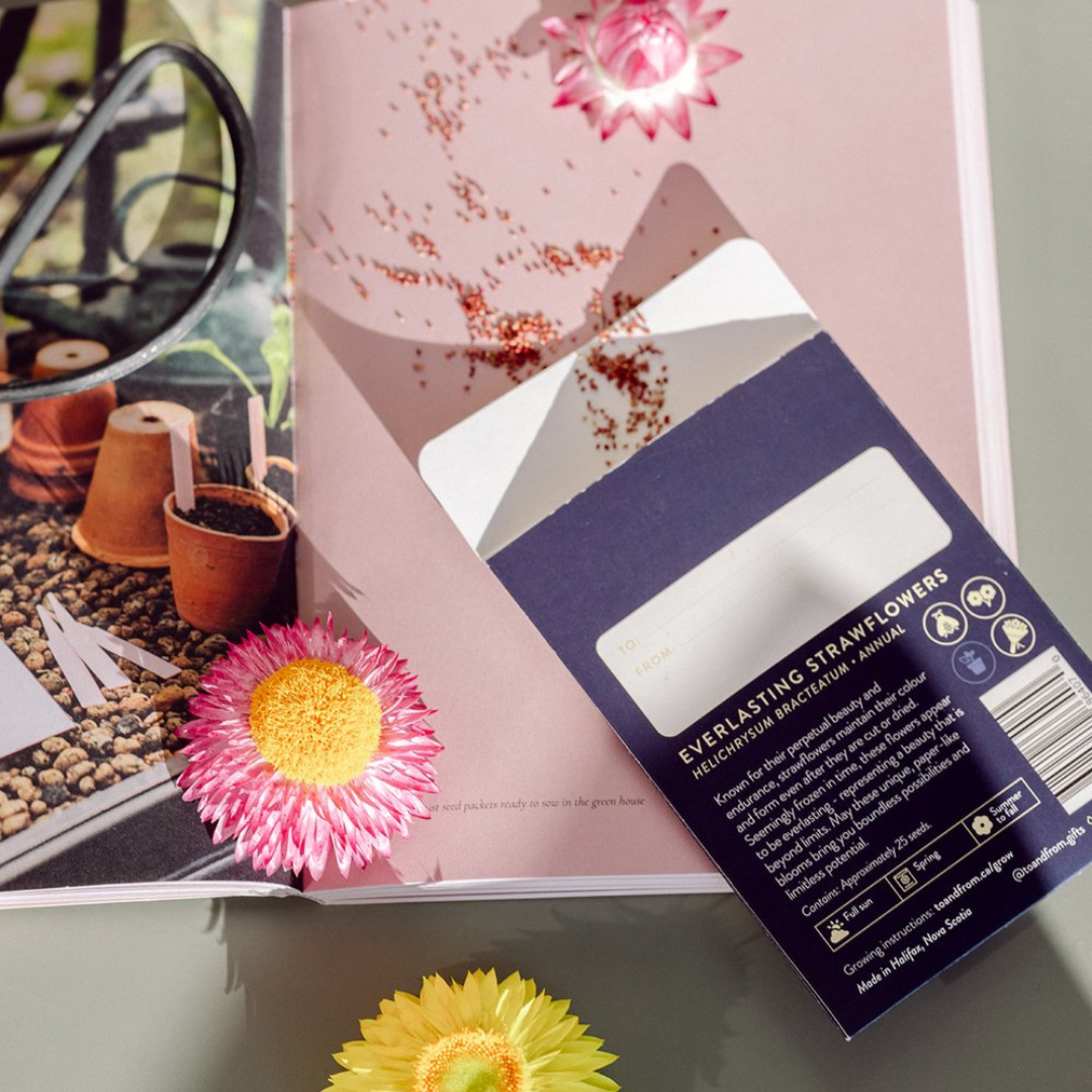 Everlasting Strawflowers (Infinity) Seed Packet | To & From Gift Co ...